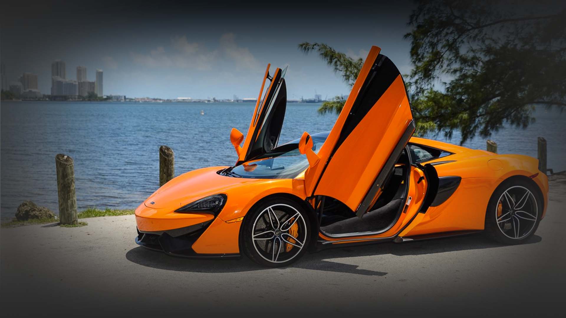 Loto Real: Generador de números al azar para el próximo sorteo